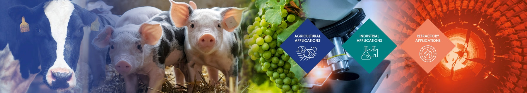 TIMAB MAGNESIUM – Suppliers from Bretagne